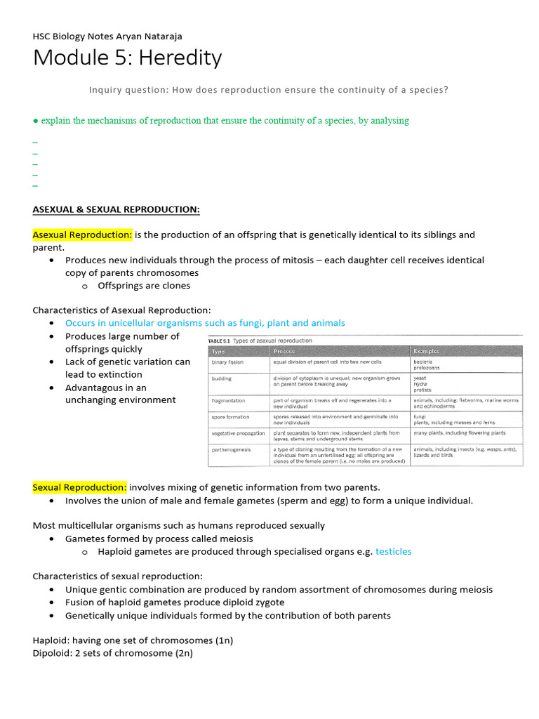 Module 5 Notes | PDF