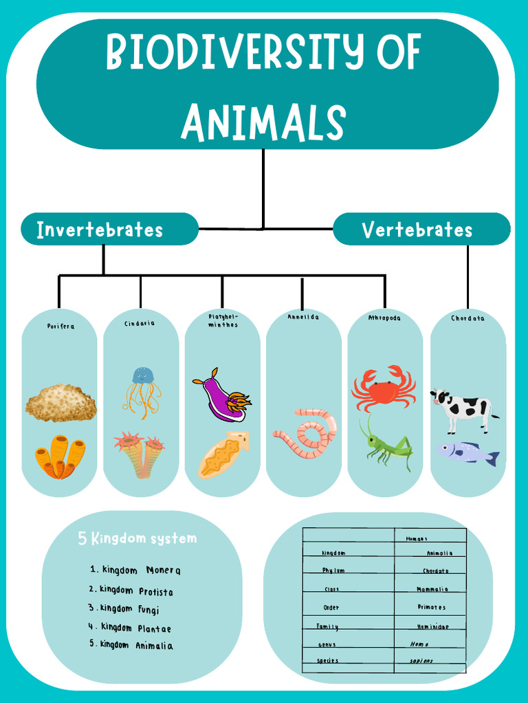 Biodiversity of Animals 1 | PDF
