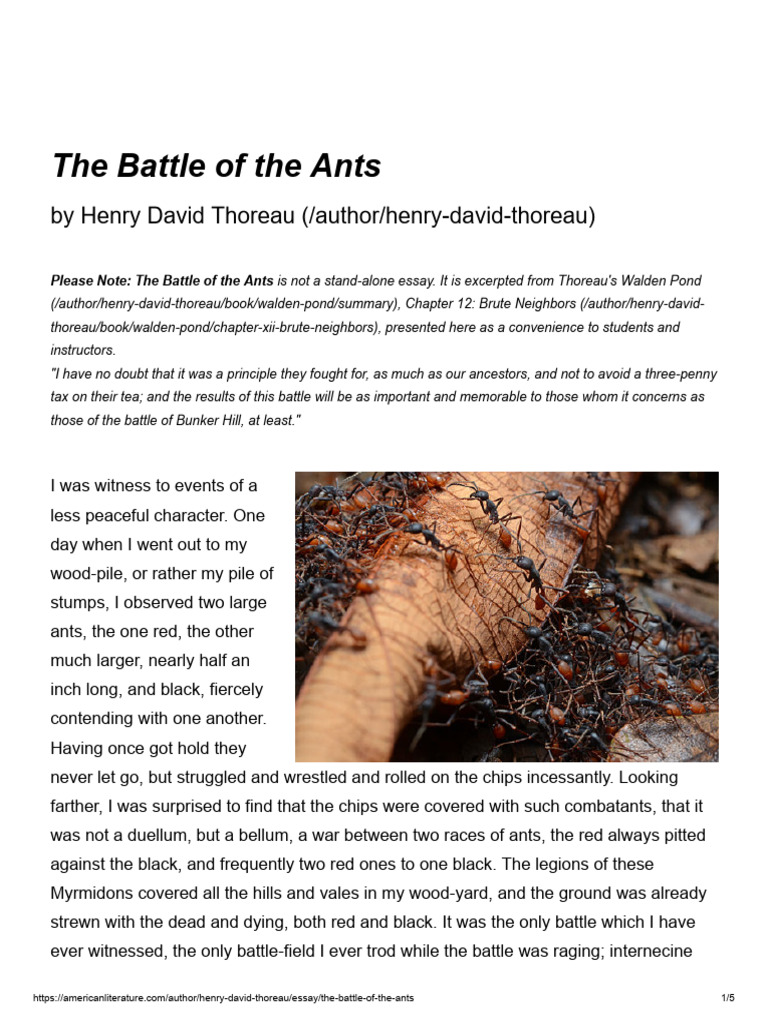 Battle of the Ants | PDF