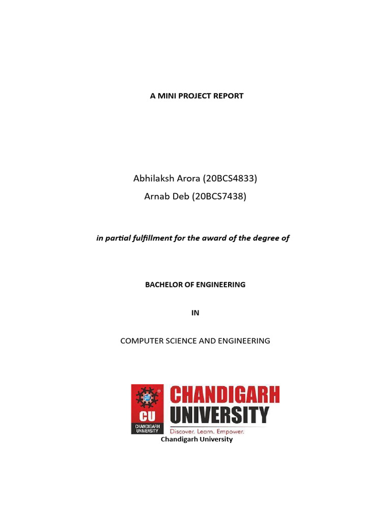 RPA Mini Project | PDF