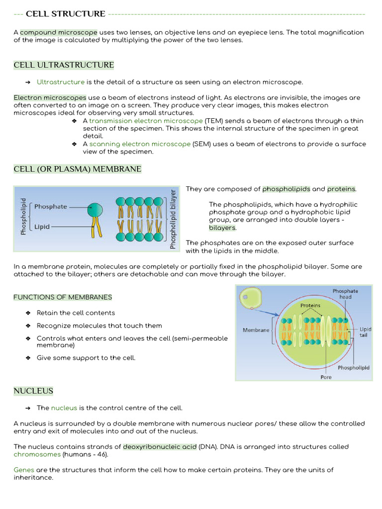 Cell Structure Notes | PDF
