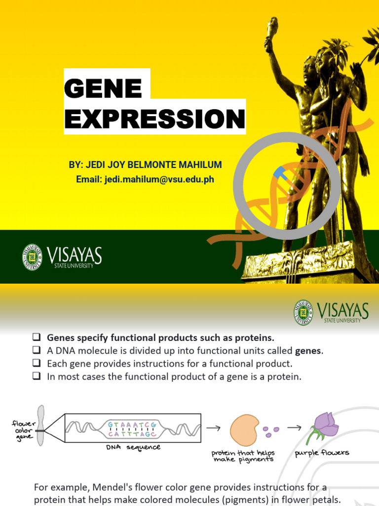 Lecture 1_Review_Central Dogma of Molecular Biology | PDF