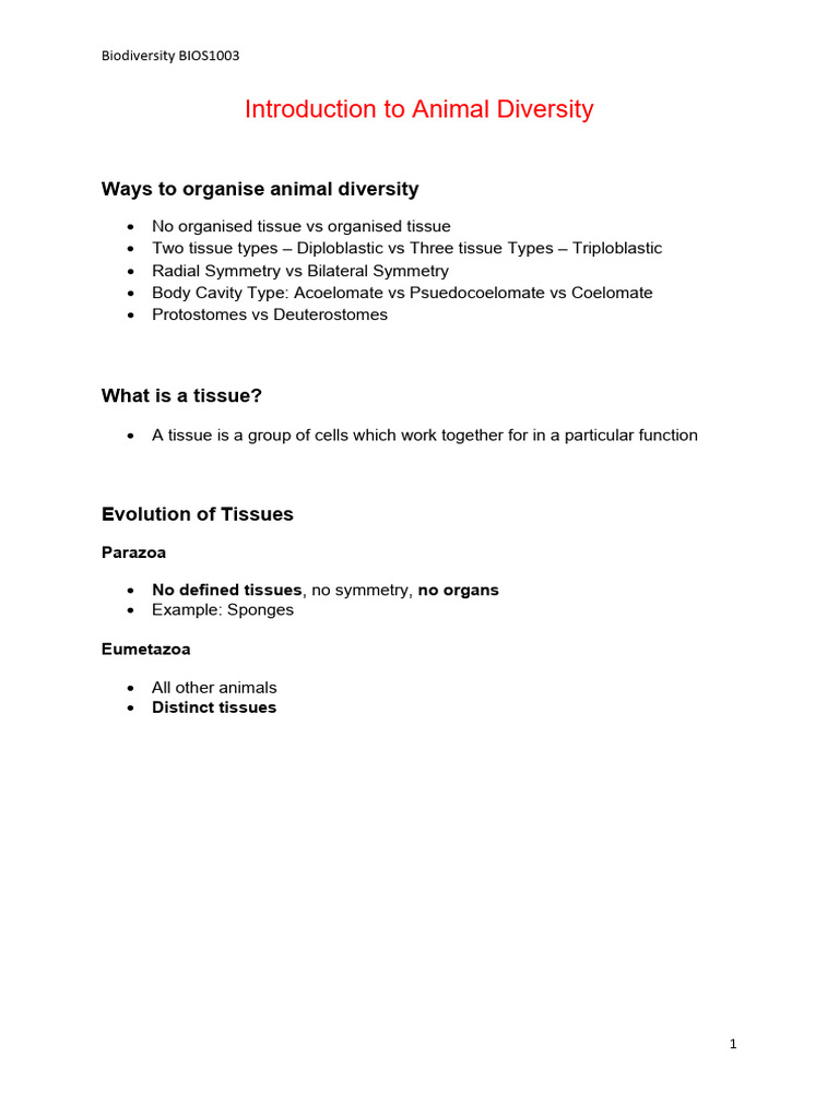 Introduction To Animal Diversity - Terminology | PDF