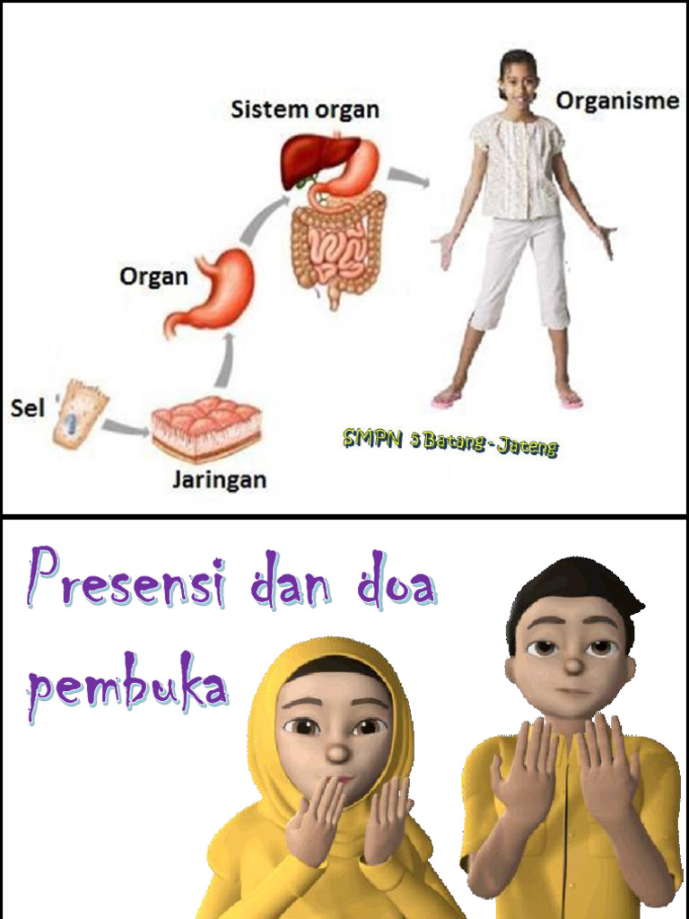 Spesialisasi Sel dalam Organisme Multiseluler | PDF