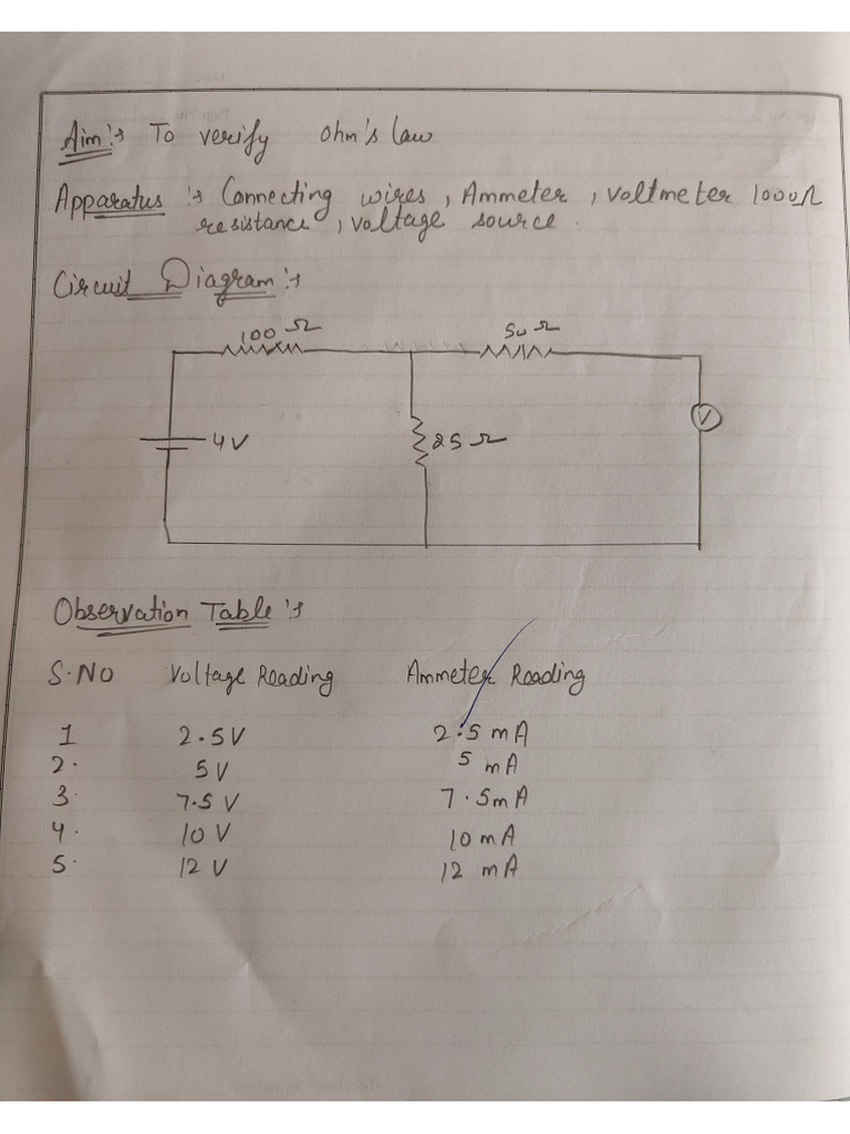 Bee Practical File | PDF