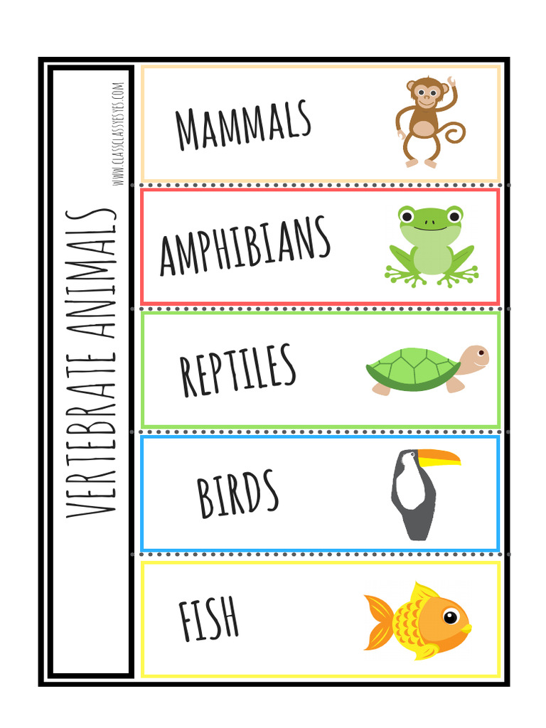 Lapbook Animals | PDF
