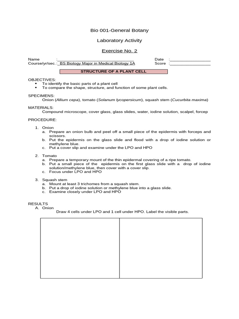 Botany Lab Activity No. 2 | PDF