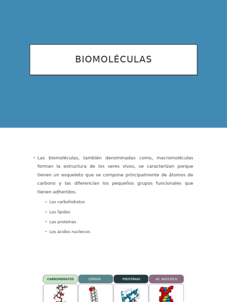 Biomoléculas | PDF