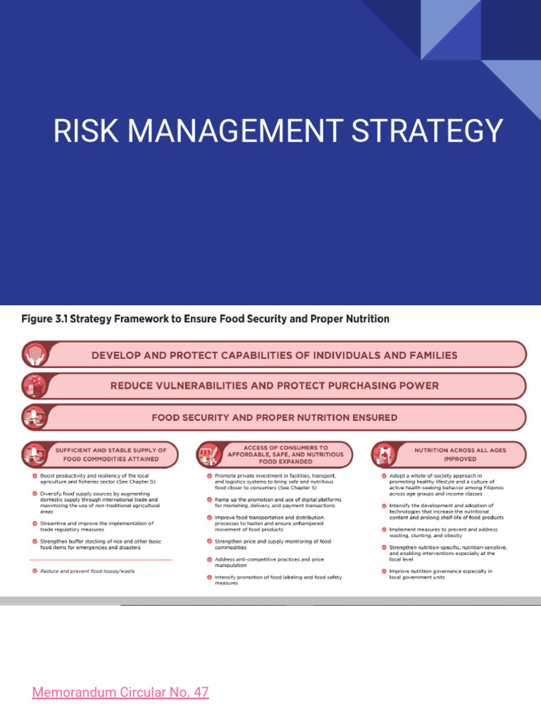Review of Risk Management Strategy - EPAHP | PDF