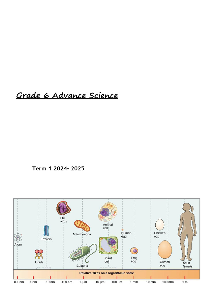 Review Notes Lesson 1 and 2 G6 Adv Science Term 1 | PDF