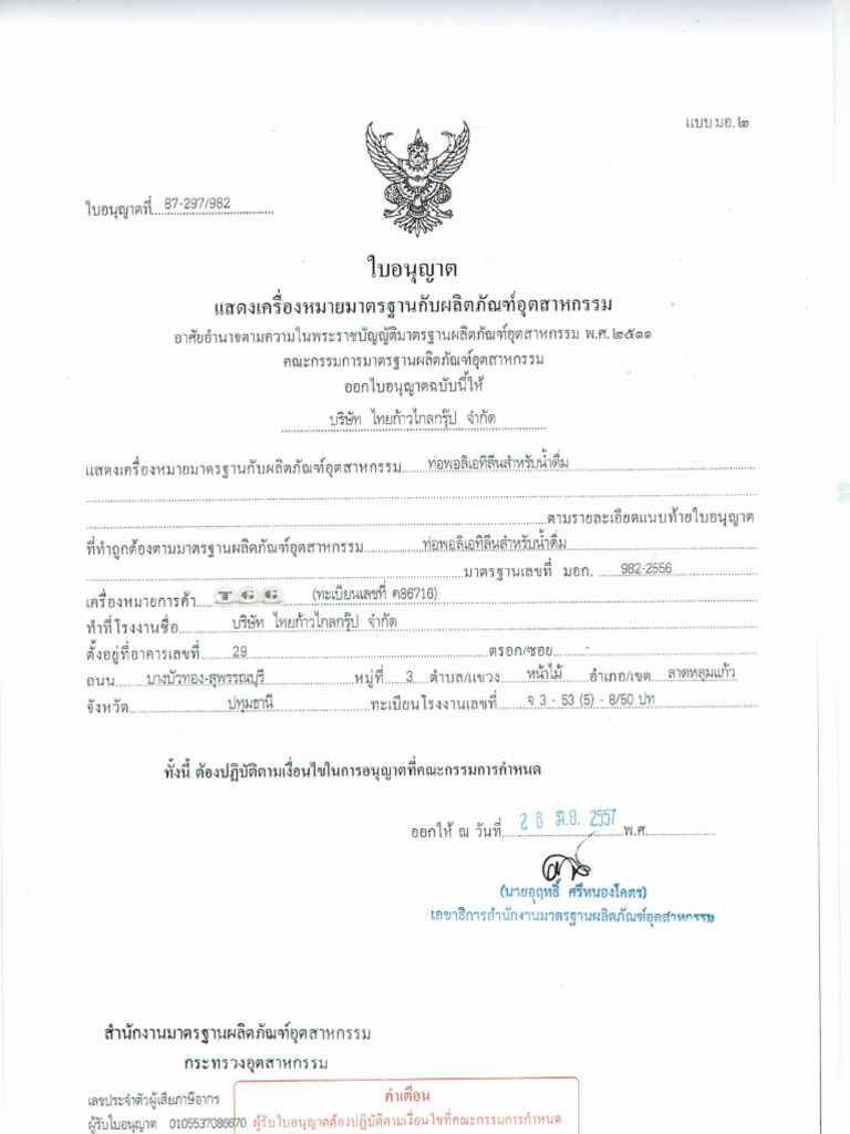 Standard_TIS_PE100 | PDF