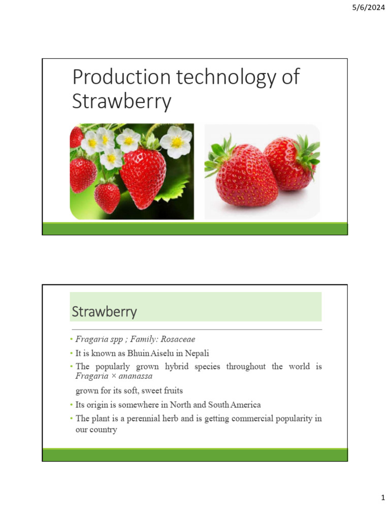 strawberry | PDF
