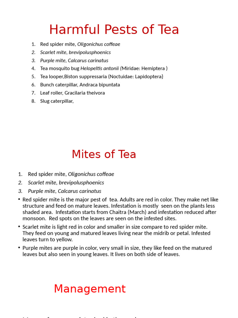Harmful Pests of Tea: 1. Red Spider Mite | PDF