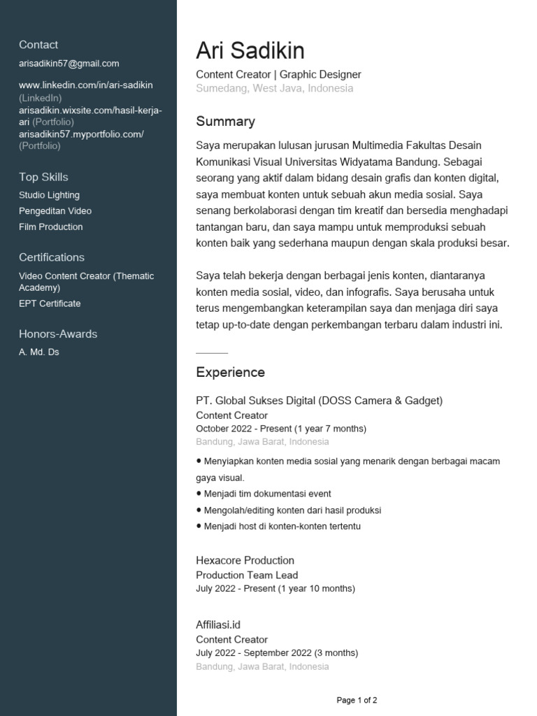 CV Ari Sadikin | PDF