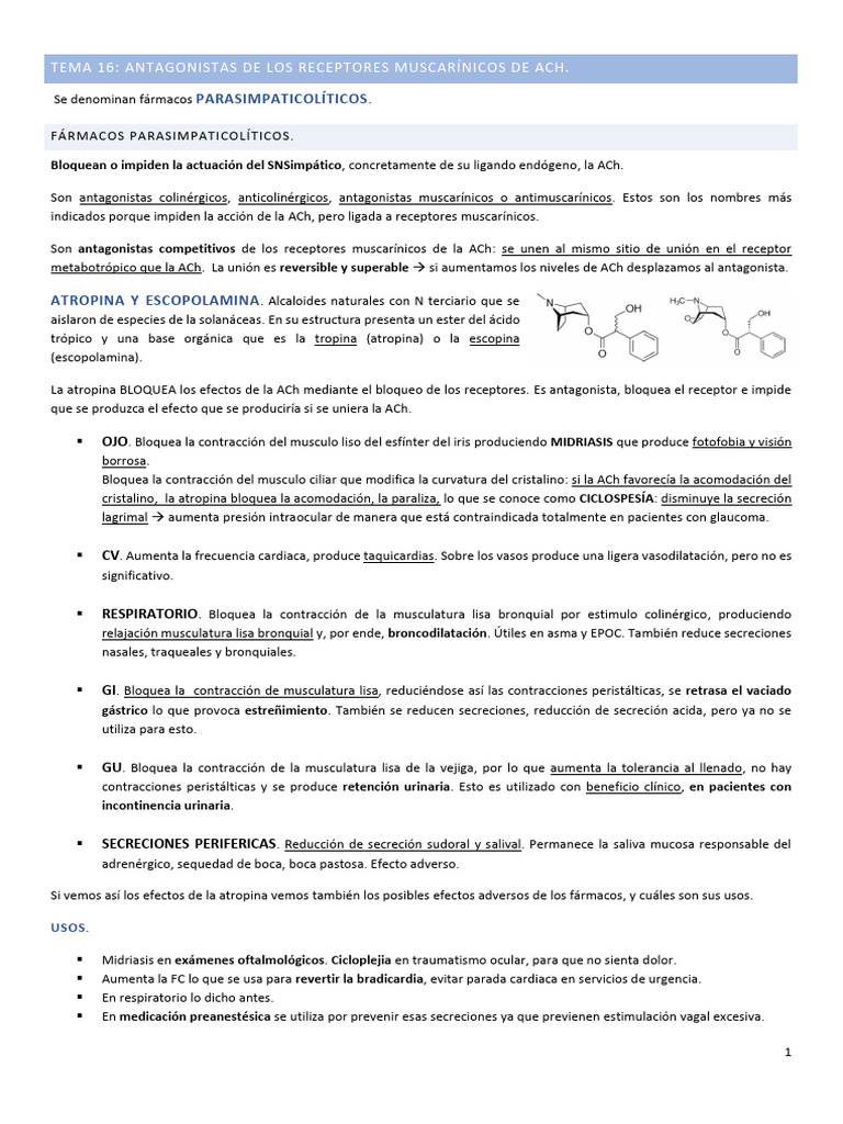 wuolah-free-Tema-16-gulag-free | PDF