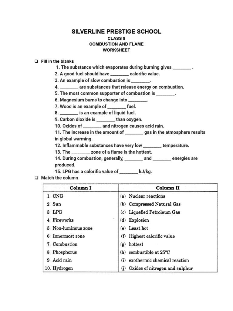 Combustion Worksheet | PDF