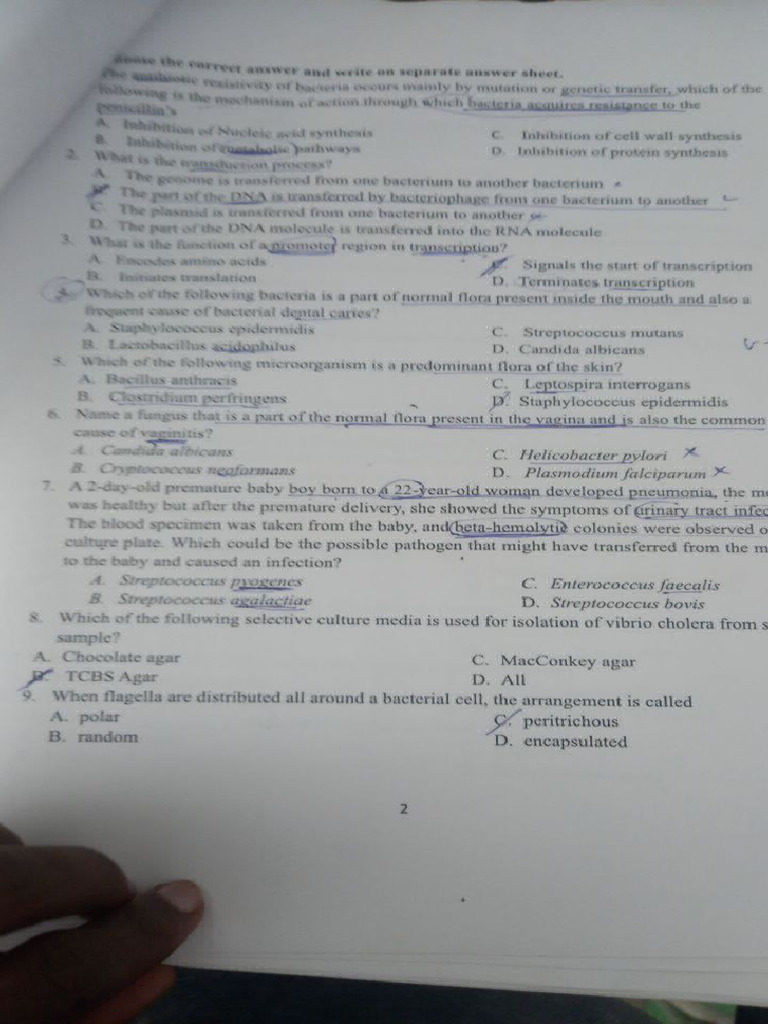 Micro Exam | PDF