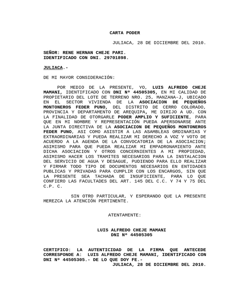 Carta Poder Asistir Reuniones Lote en Asoc. | PDF