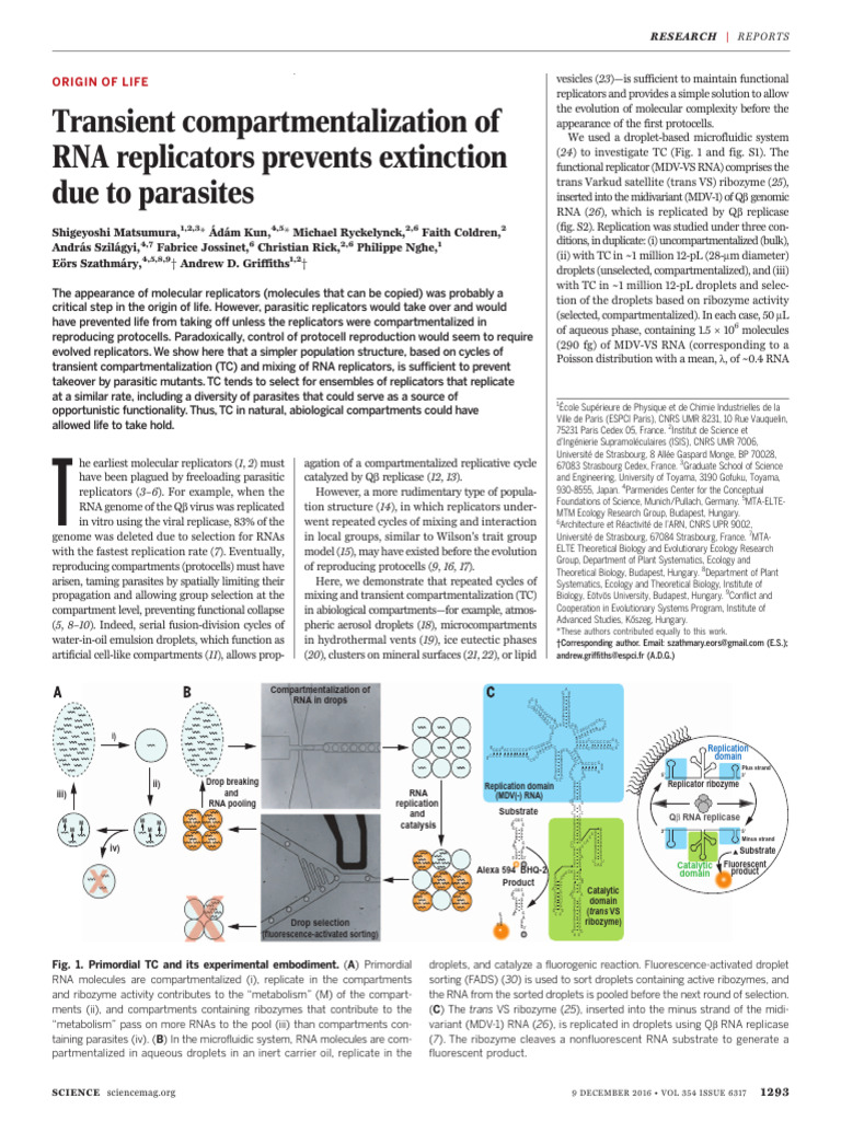 Transient Compartmentalization of RNA Replicators Prevents Extinction ...