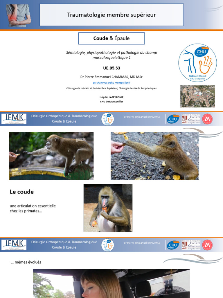 Partie 1 Coude | PDF