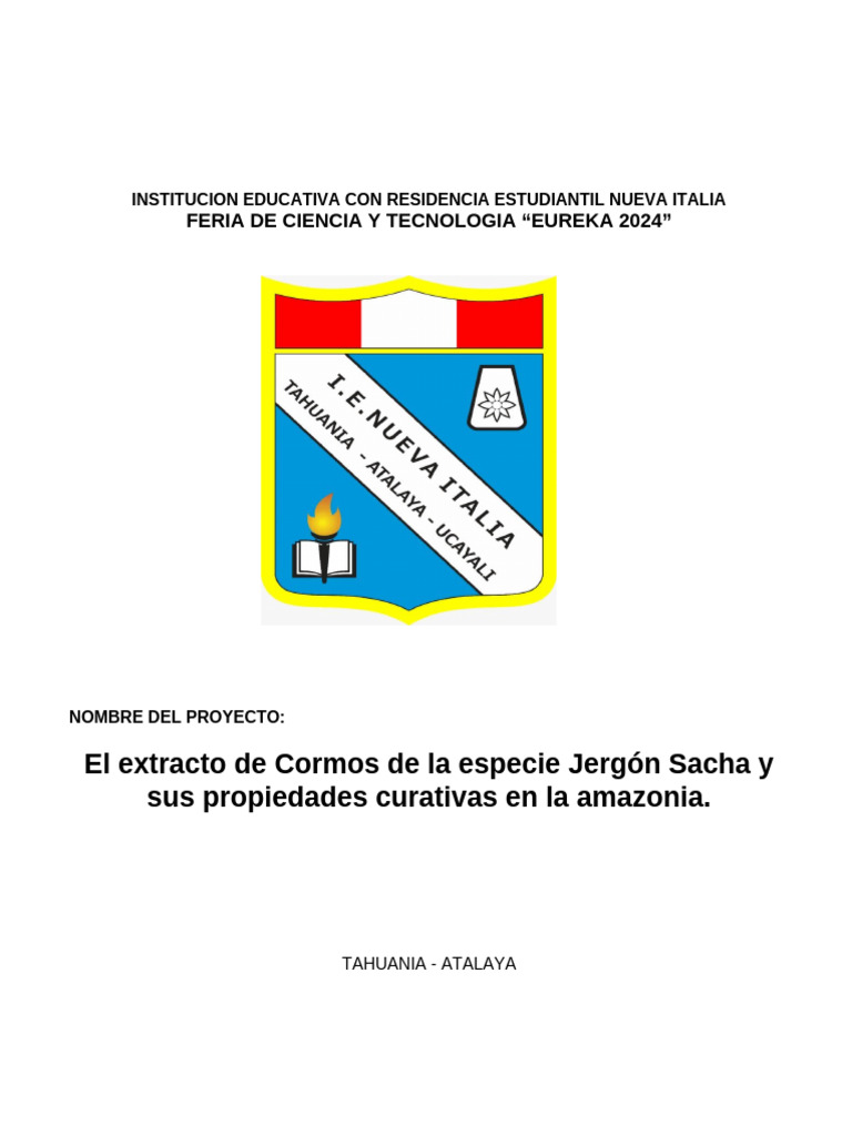 Proyecto - Jergon Sacha | PDF