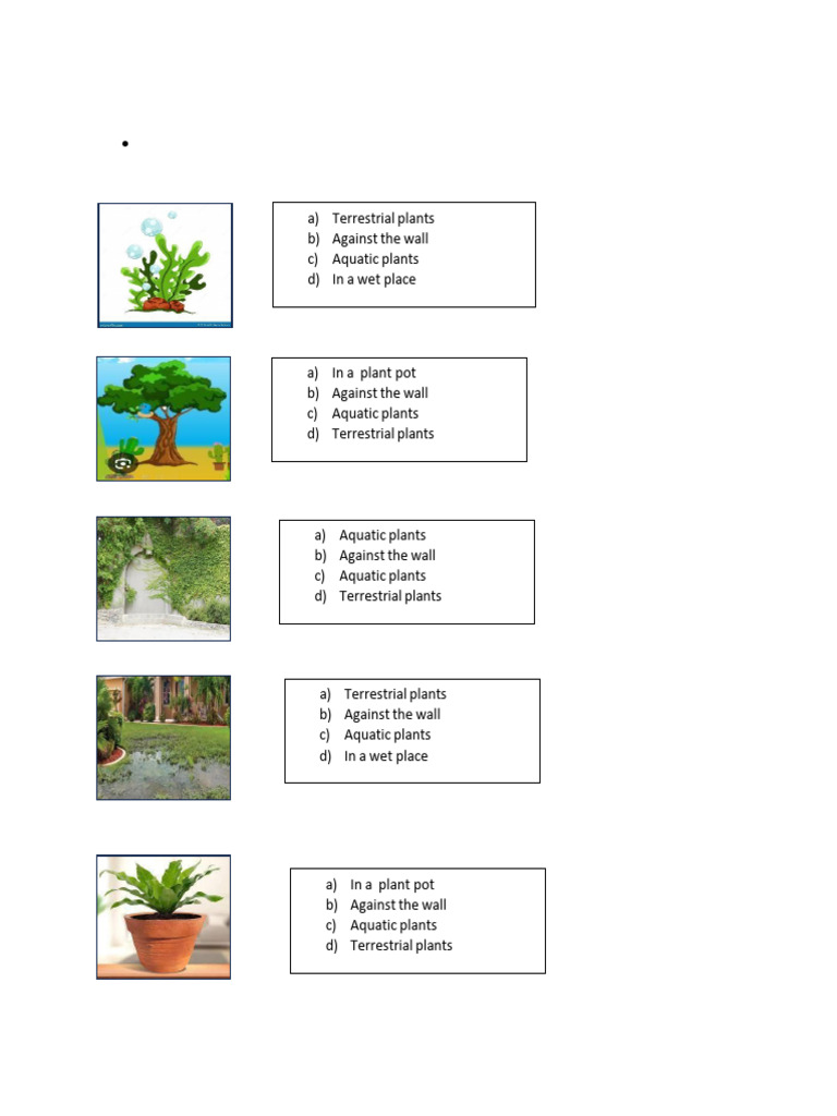 Plant Habitat Identification Quiz | PDF | Home & Garden | Science ...