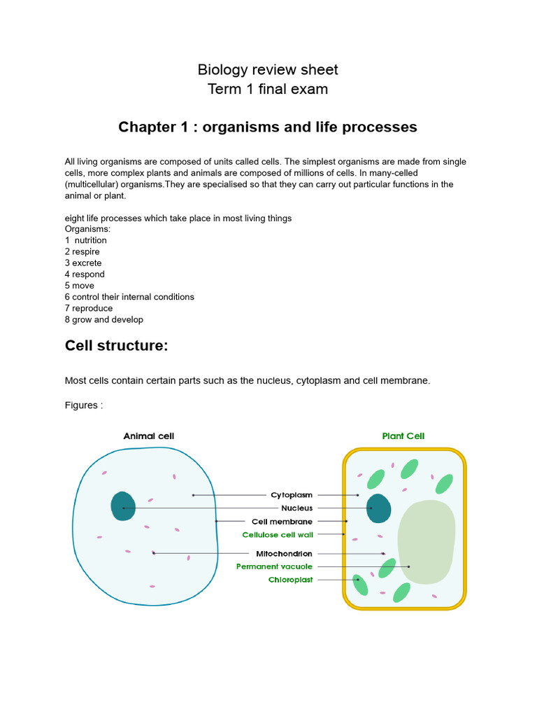 Biology Review Sheet | PDF
