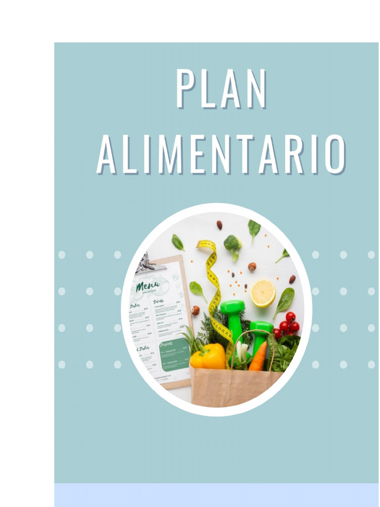 PLAN ALIMENTARIO Paciente Con 65 KG | PDF