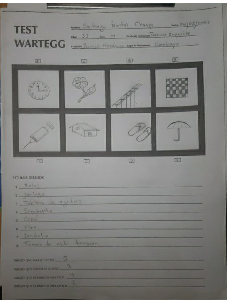 PDF Scan Test Wartegg | PDF