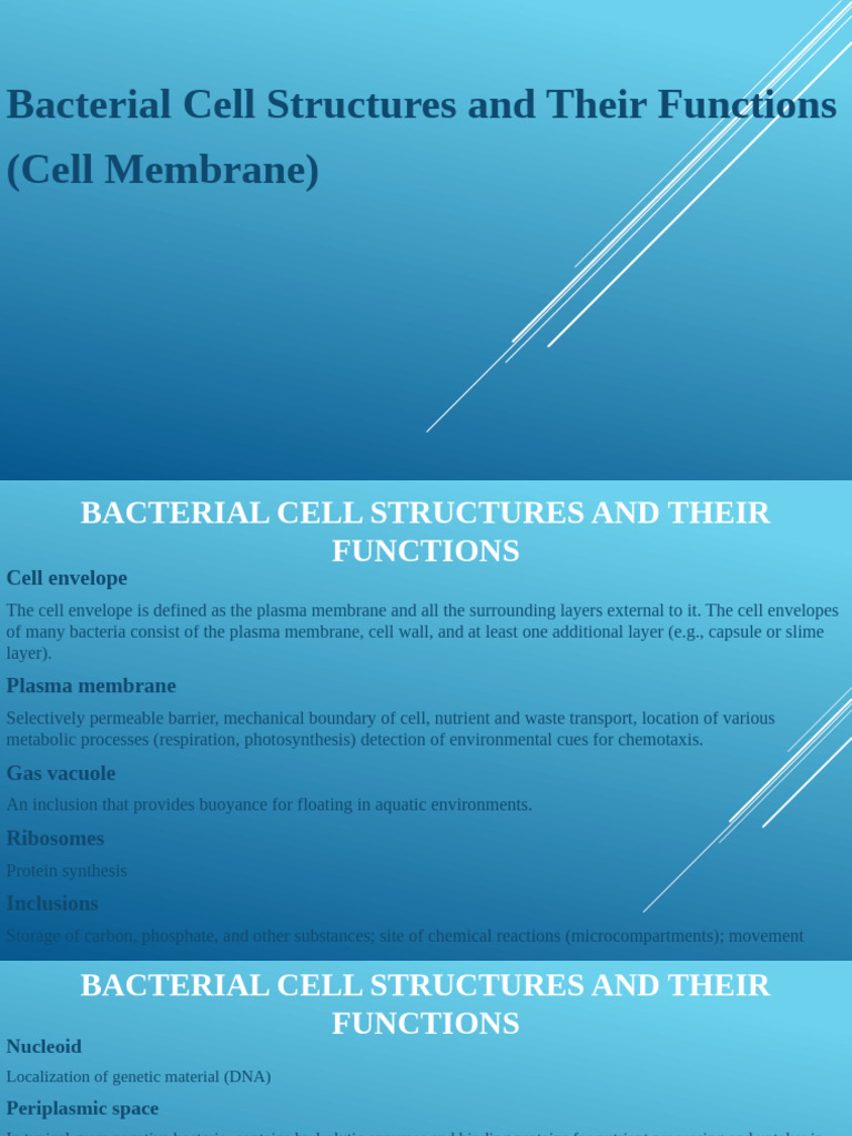 Bacterial Structure | PDF