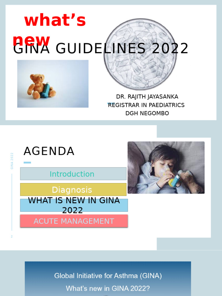 GINA Guidelines 2022 | PDF