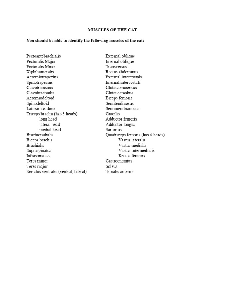 BIOL 251 Lab 8 & 9-Muscles | PDF BIOL 251 Lab 8 & 9-Muscles | PDF