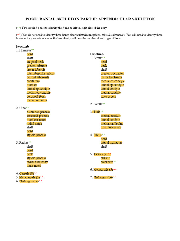 BIOL 251 Lab 4-Appendicular Skeleton | PDF BIOL 251 Lab 4-Appendicular Skeleton | PDF