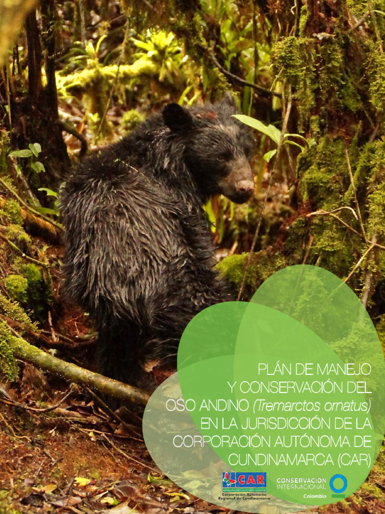 plan de manejo oso andino cundinamarca | PDF