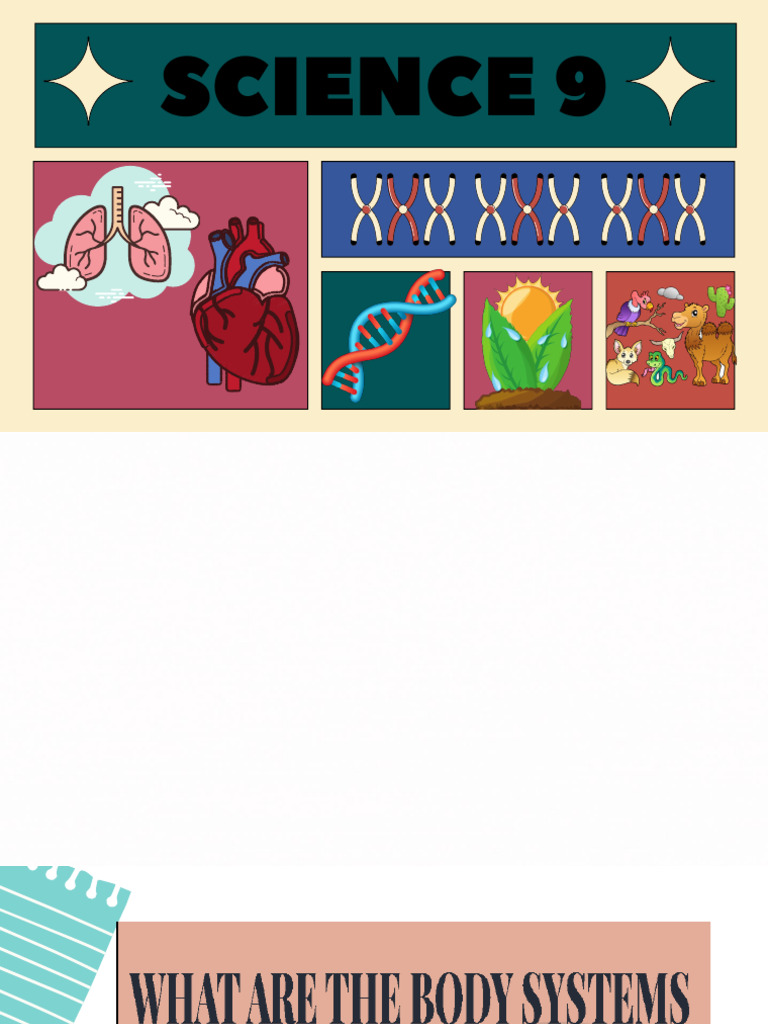 Reviewer in Respiratory-System 9TH Grade | PDF