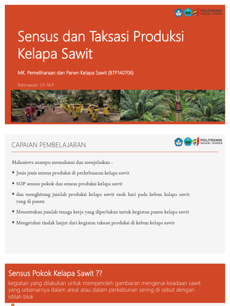 11 - Sensus Dan Taksasi Produksi Kelapa Sawit | PDF
