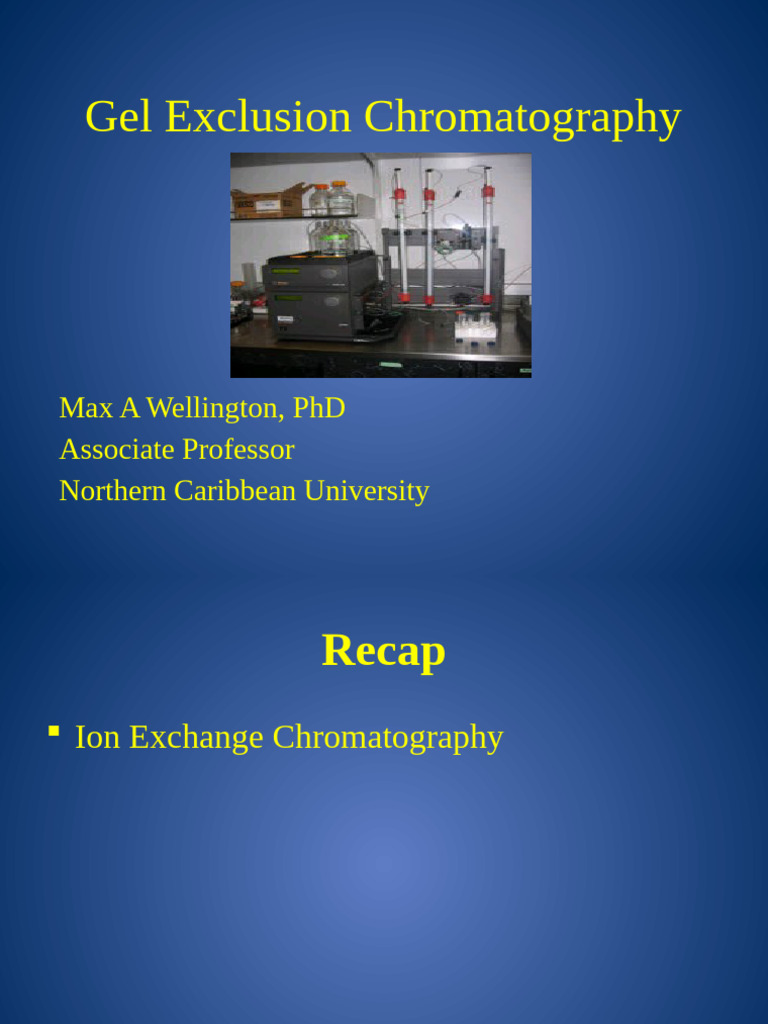 Analytical Biochem #10 Gel Exclusion Chromatography | PDF