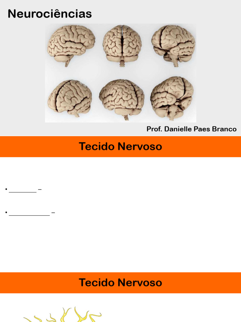 Apost. 2 - Células Neurais, Potencial e Sinapse | PDF