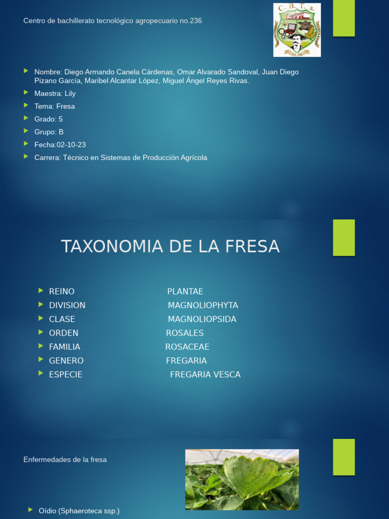 fresa | PDF