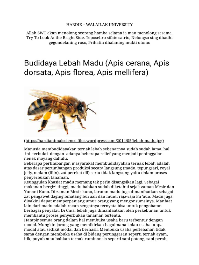 Budidaya Lebah Madu (Apis Cerana, Apis Dorsata, Apis Florea, Apis Mellifera) – Hardie – Walailak ...