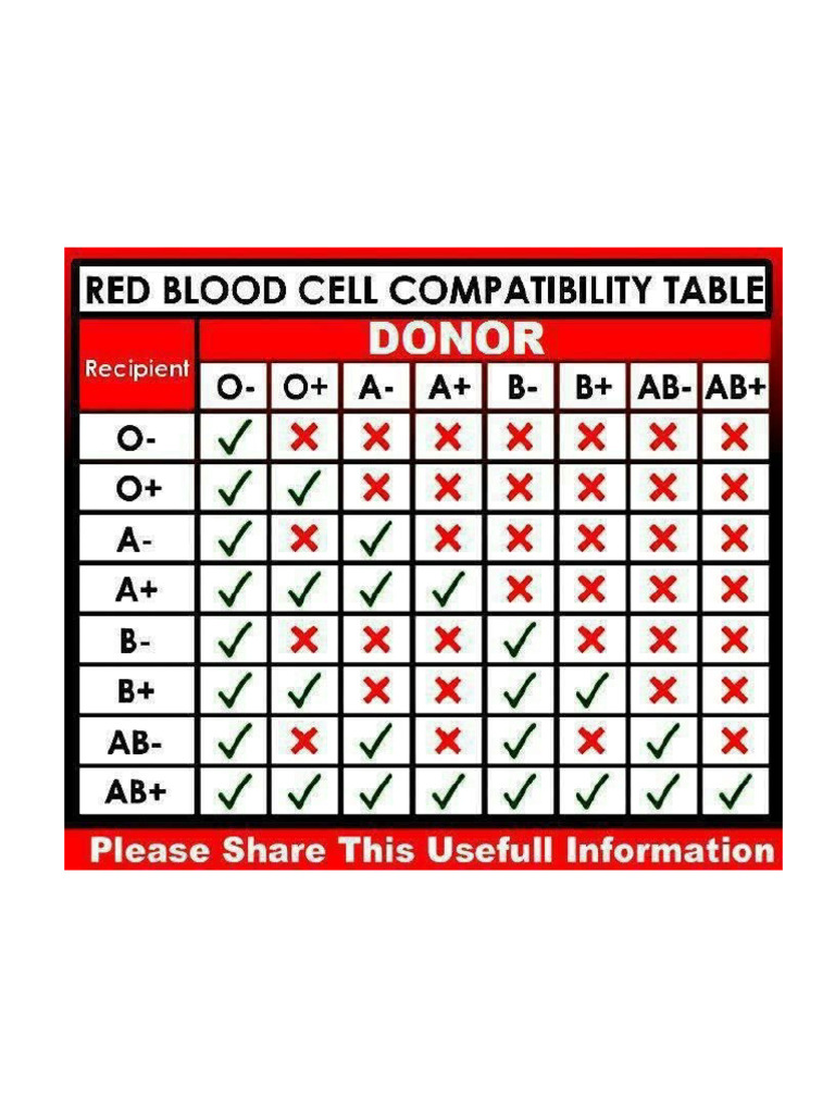 Blood Type Compatibility Table | PDF
