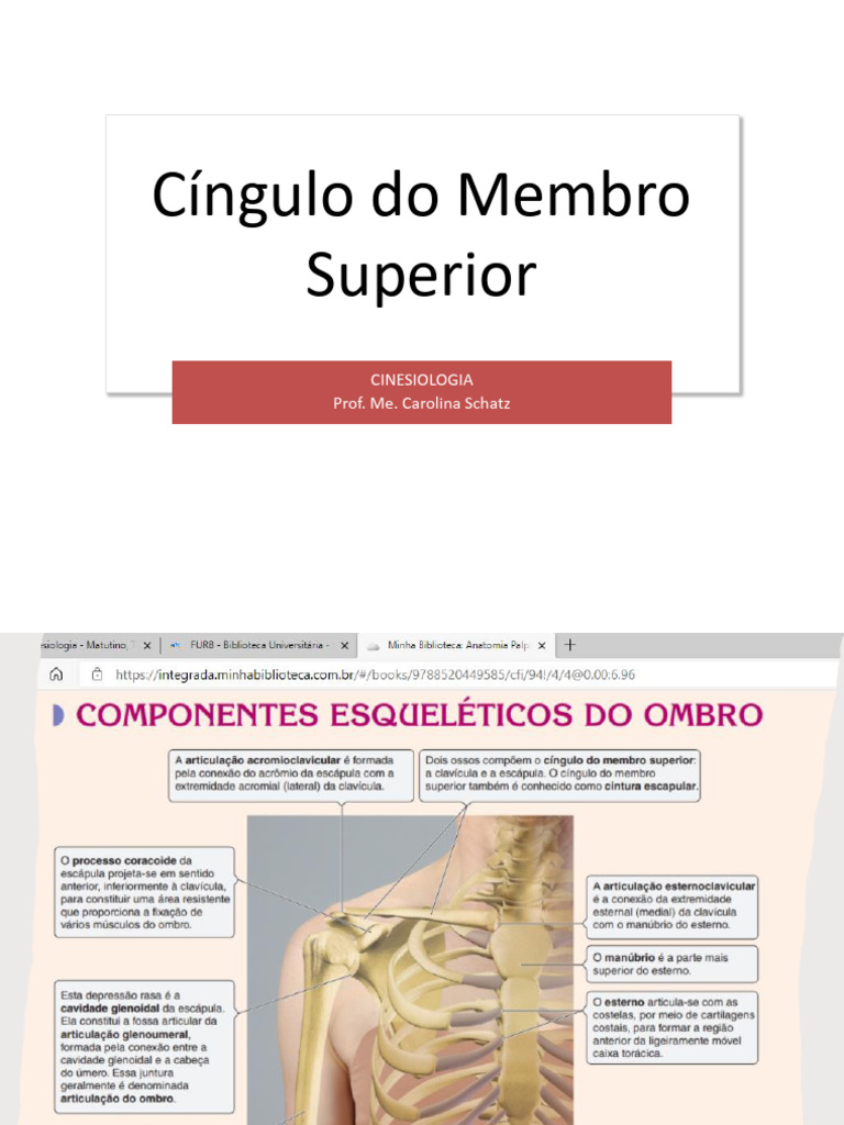 Cingulo Do Membro Superior Abril - 22 | PDF
