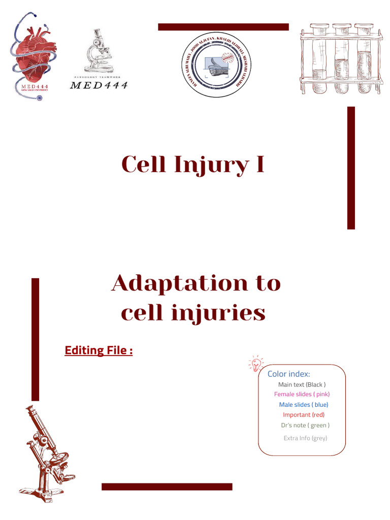 L2) Cell Injury-1 | PDF
