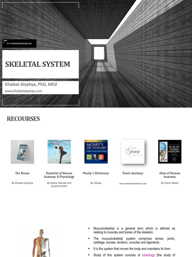 l1) Skeletal System | PDF