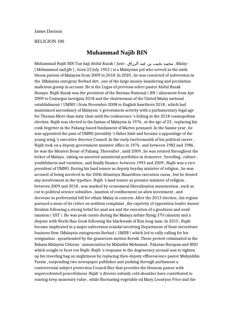 Muhammad Najib BIN | PDF