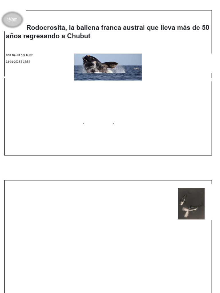 Diagnóstico 3ro | PDF