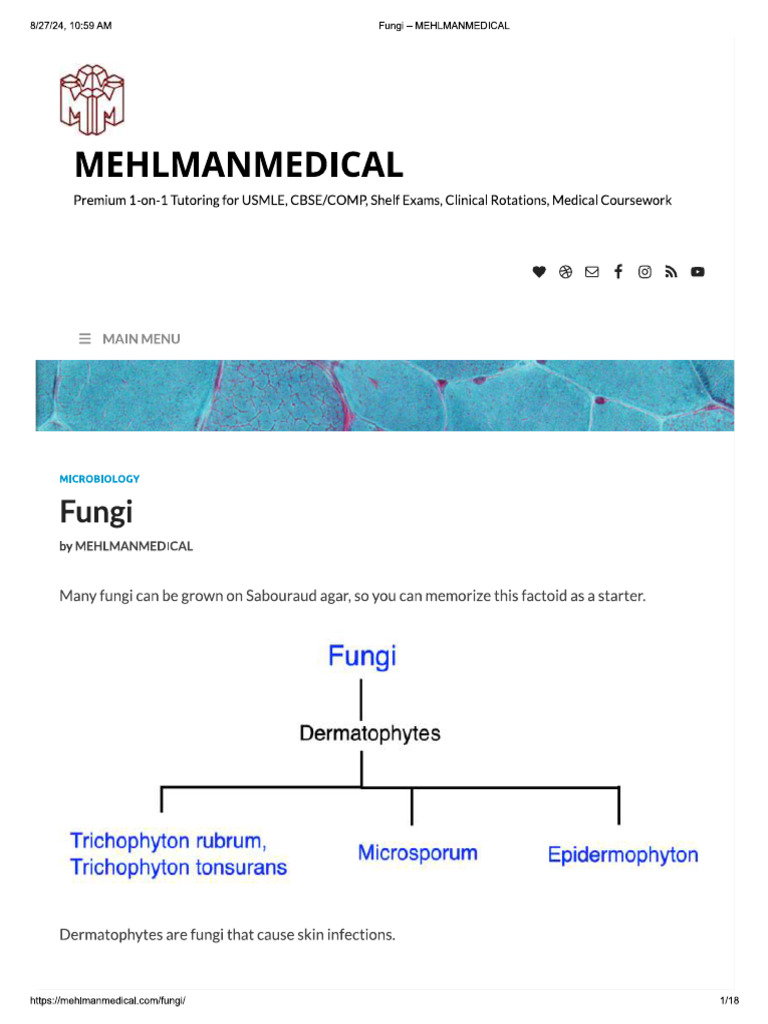 Fungi | PDF