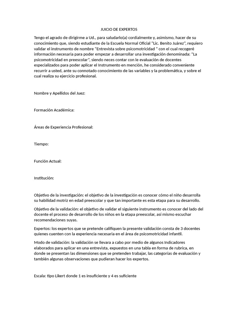 Juicio de Expertos - C | PDF