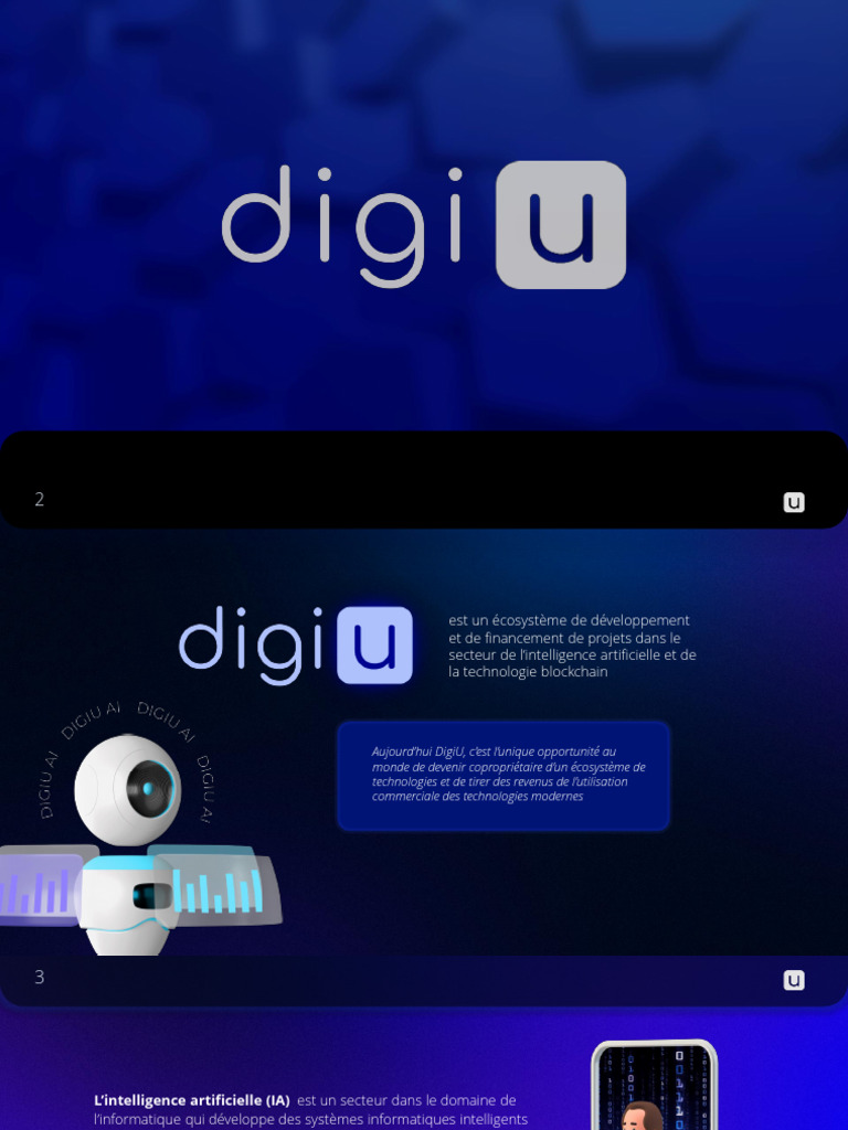 FR DigiU Presentation 1 1 | PDF