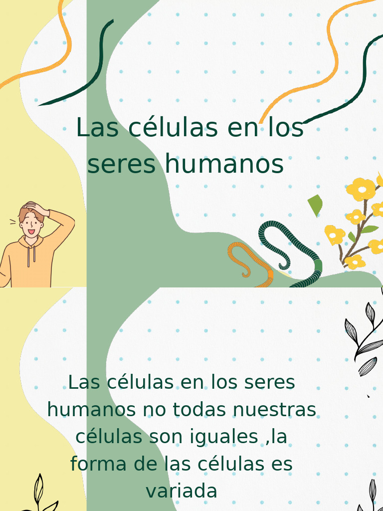 Jaseth 20240905 174733 0000 | PDF